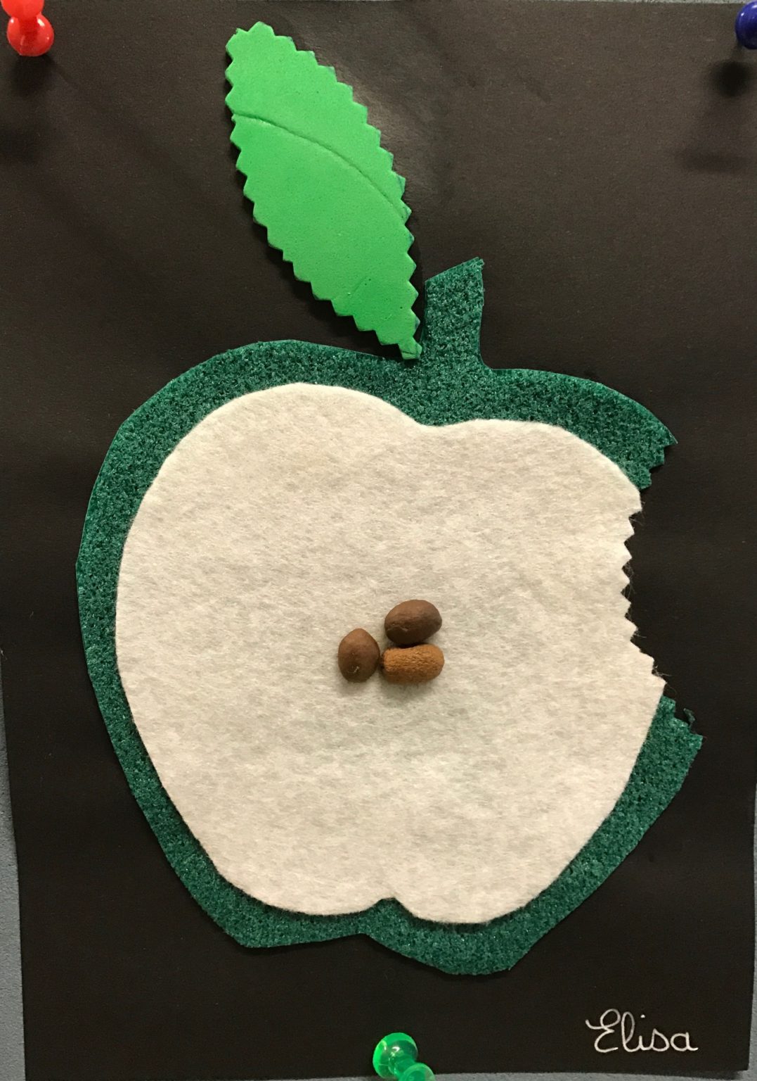 Arts plastiques sur le thème de la pomme | Ecole Saint Vincent de Paul ...
